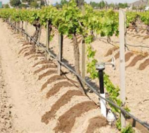 USDA announces investments of up to $400 million to conserve water ...