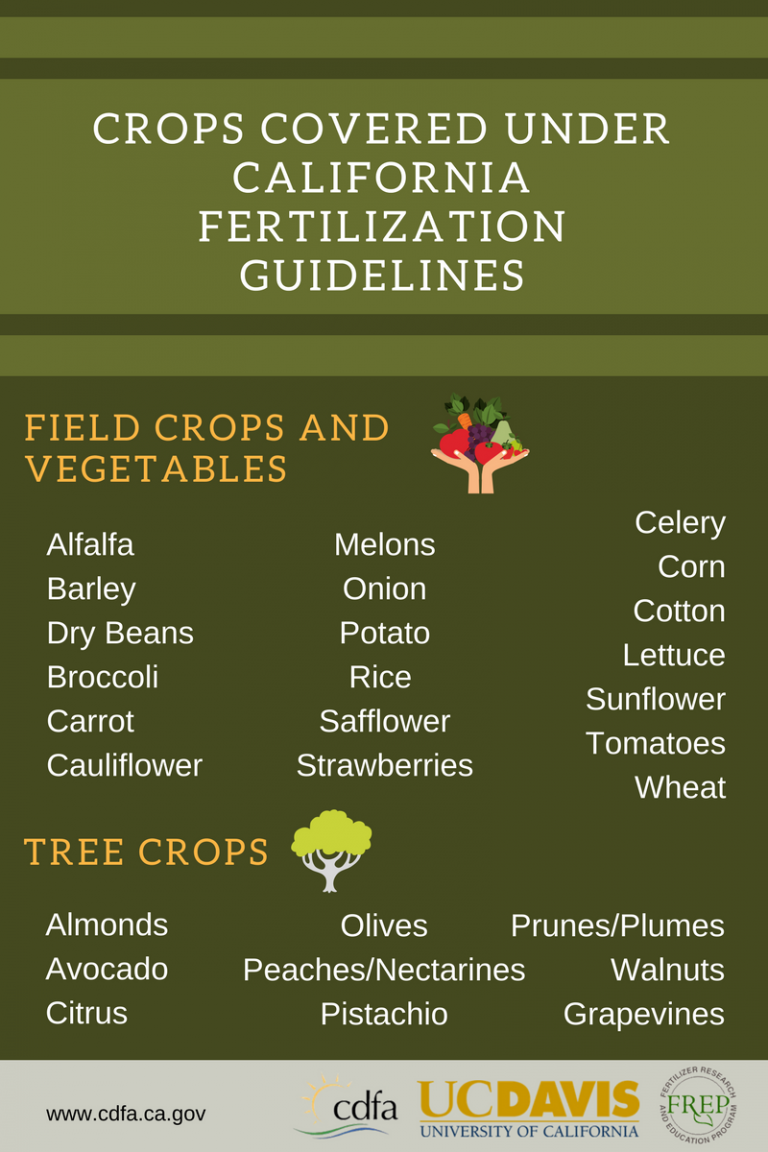 CDFA fertilization guidelines offer insight on a number of crops – CDFA ...