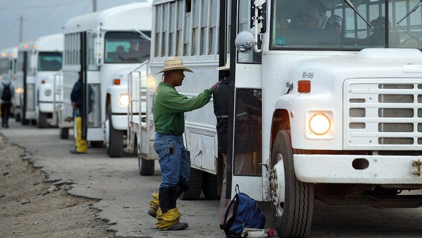 How California’s farm labor shortage made friends of old rivals – from ...