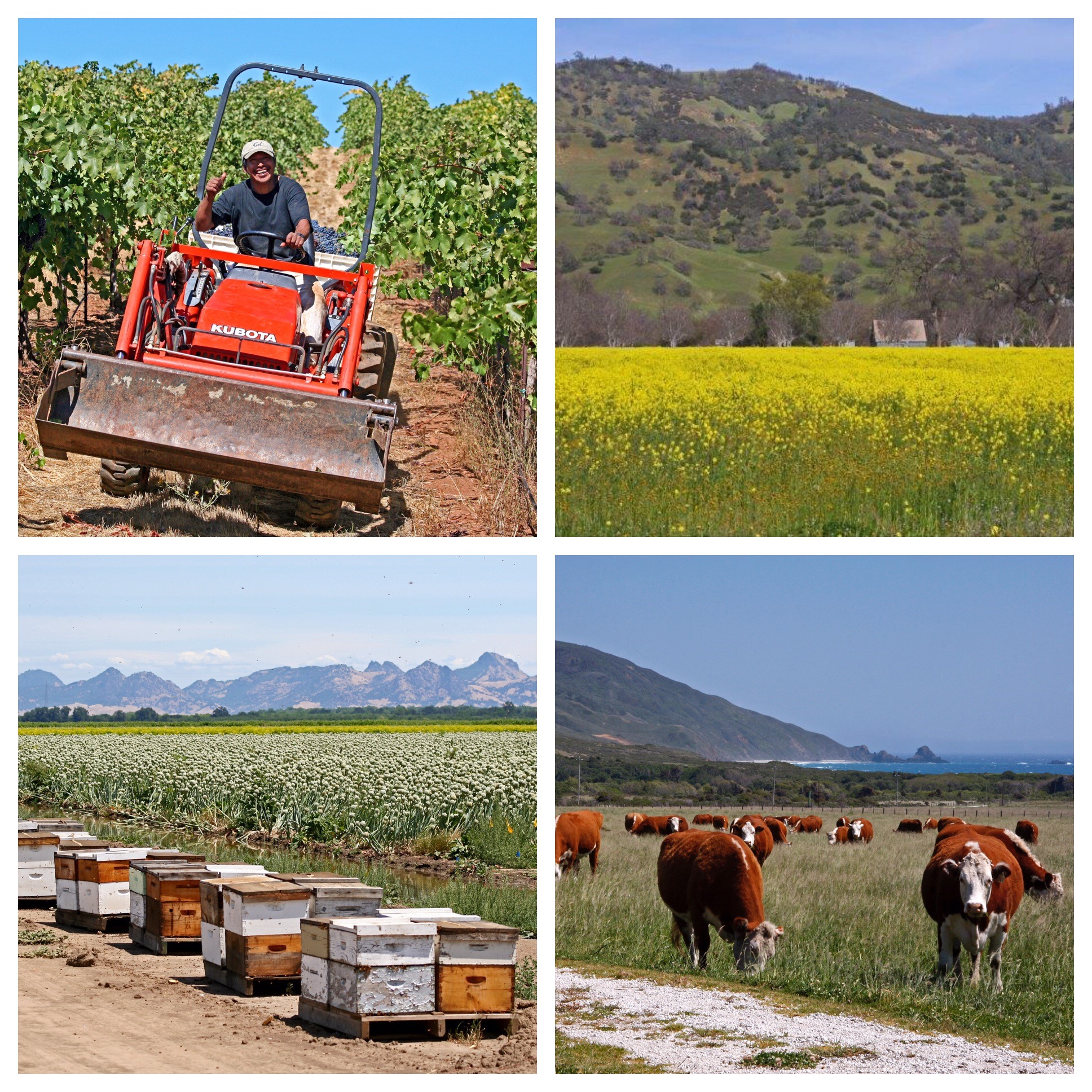 A week to recognize Earth Day: photos of California farms – CDFA's ...