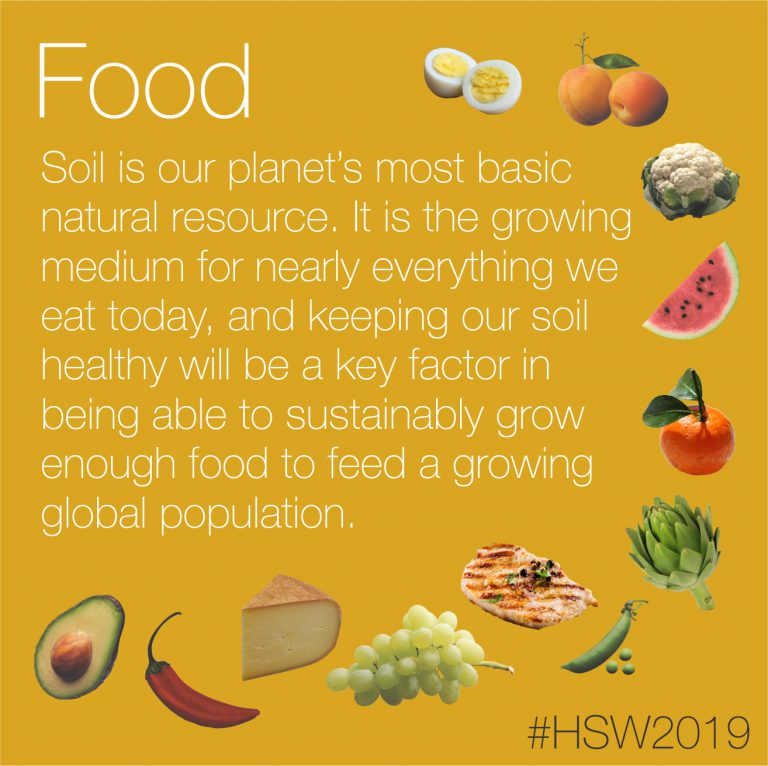Healthy Soils Week – Healthy soils and food – CDFA's Planting Seeds ...