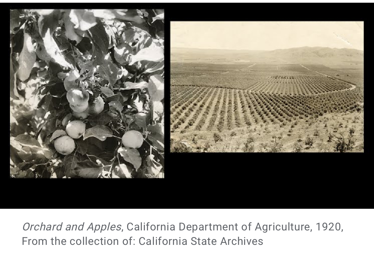 Farmworkers in the Land of Plenty – A digital exhibit from the ...