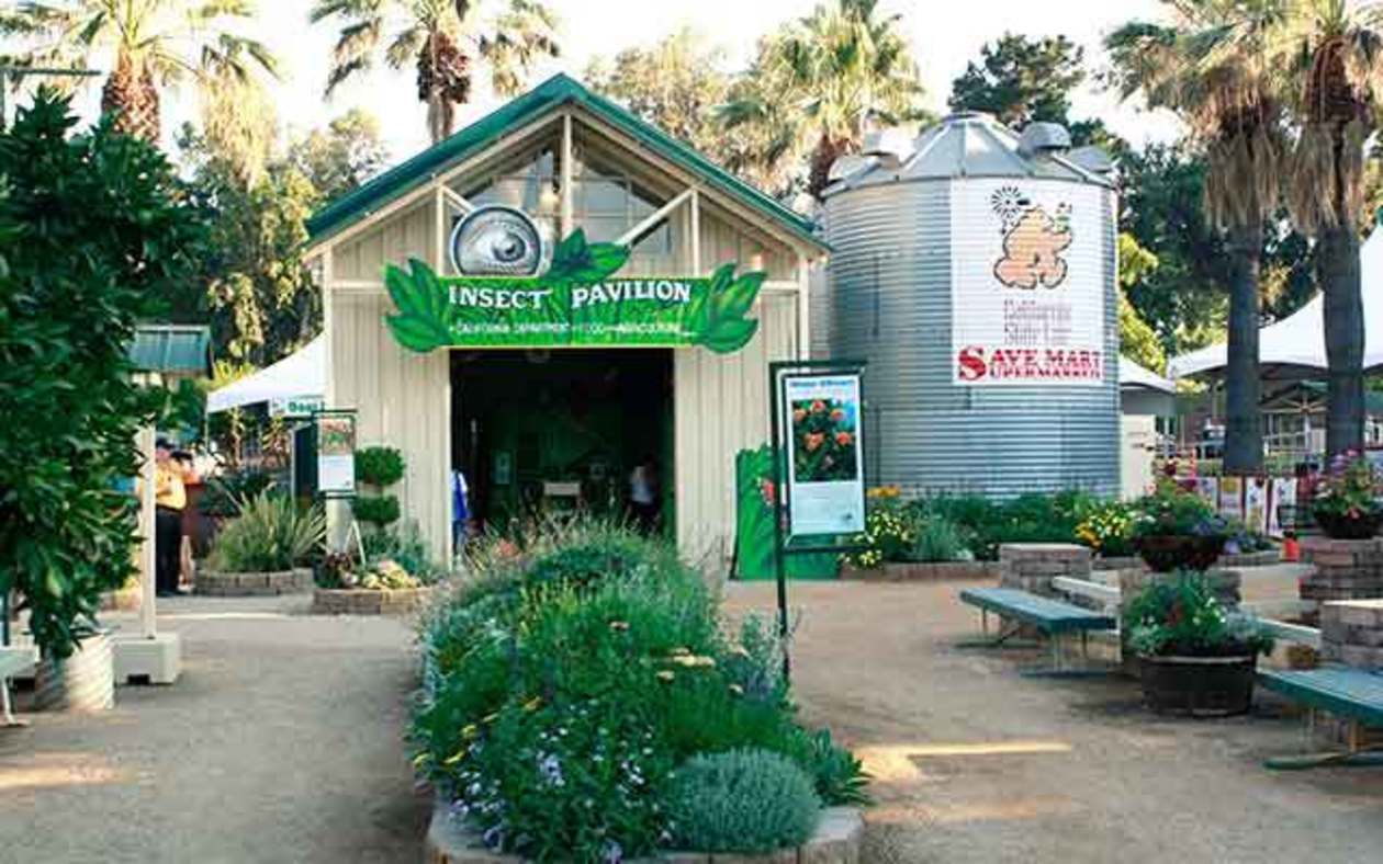 CDFA's Planting Seeds Blog - Making California a better place to live ...