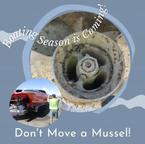 CDFA Border Stations helping to prevent risk of invasive mussel ...