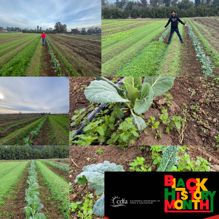 Black History Month Spotlight: African American Farmers of California ...