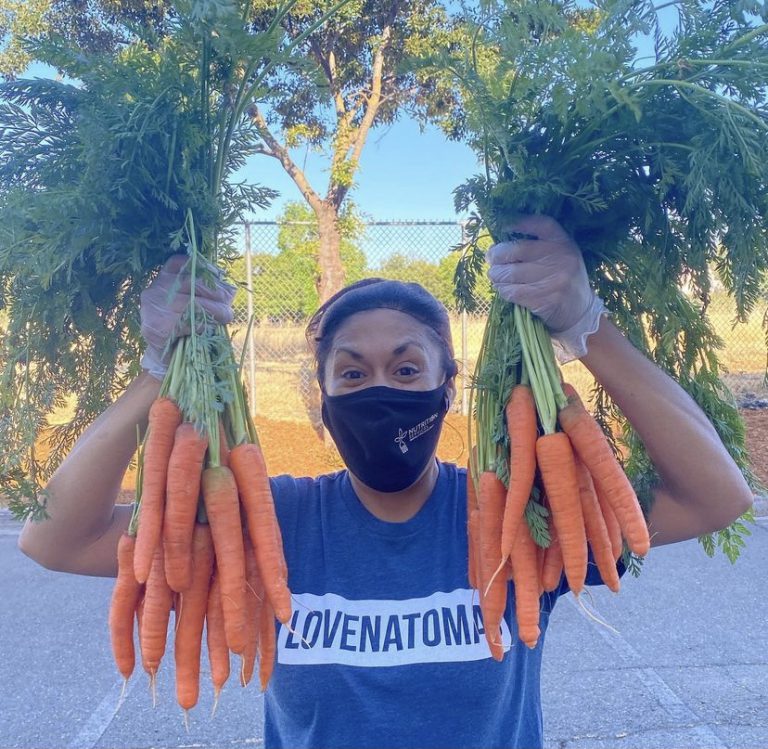 CDFA program offering grants to help farms sell healthy foods to school ...