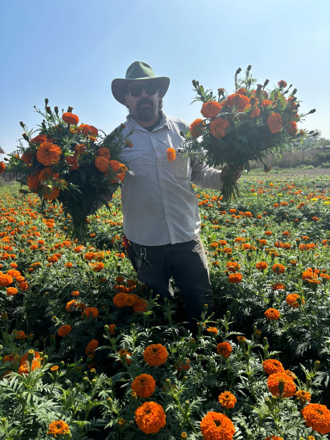 Spotlight on Pixca Farm – Day of the Dead: Culture, Community and ...