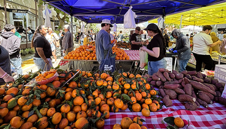 Nutrition Incentive Grants help CalFresh recipients purchase more ...