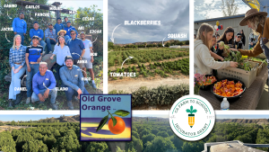 Farm to School benefits small farms like Old Grove Orange in Redlands ...