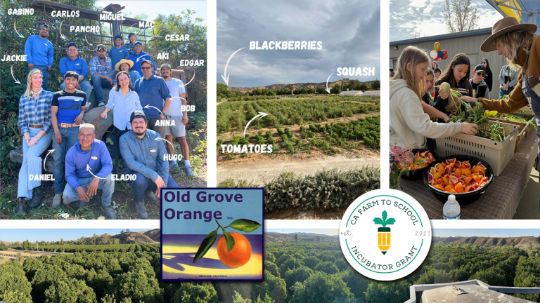 Farm to School benefits small farms like Old Grove Orange in Redlands ...